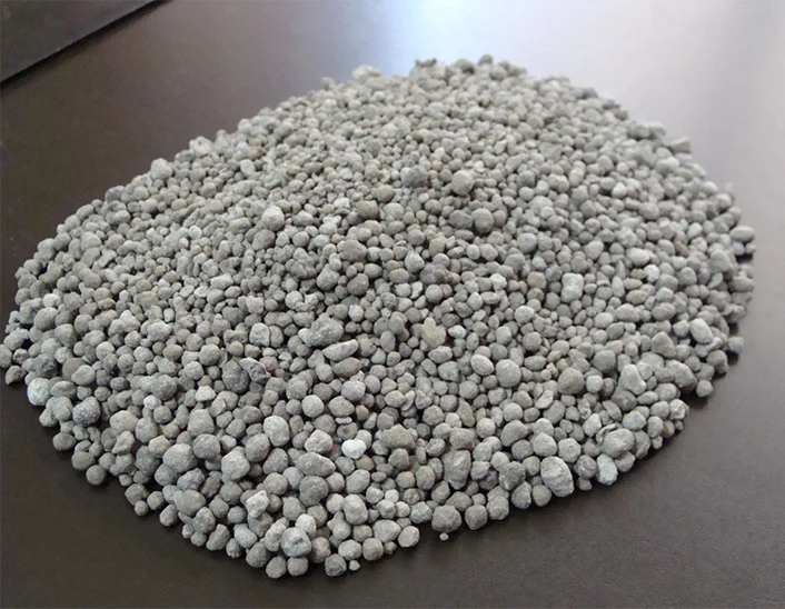 Evolve Mind | Foco e Memória