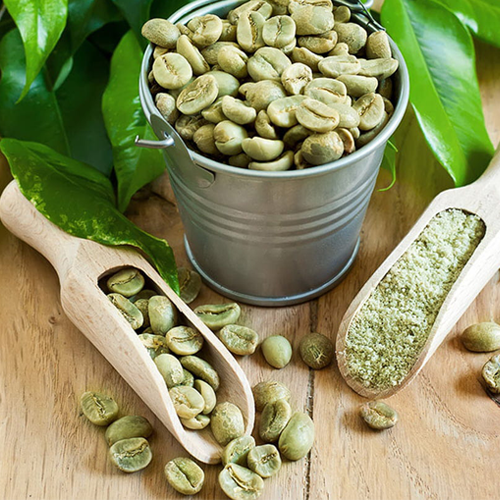 Evolve Mind | Foco e Memória